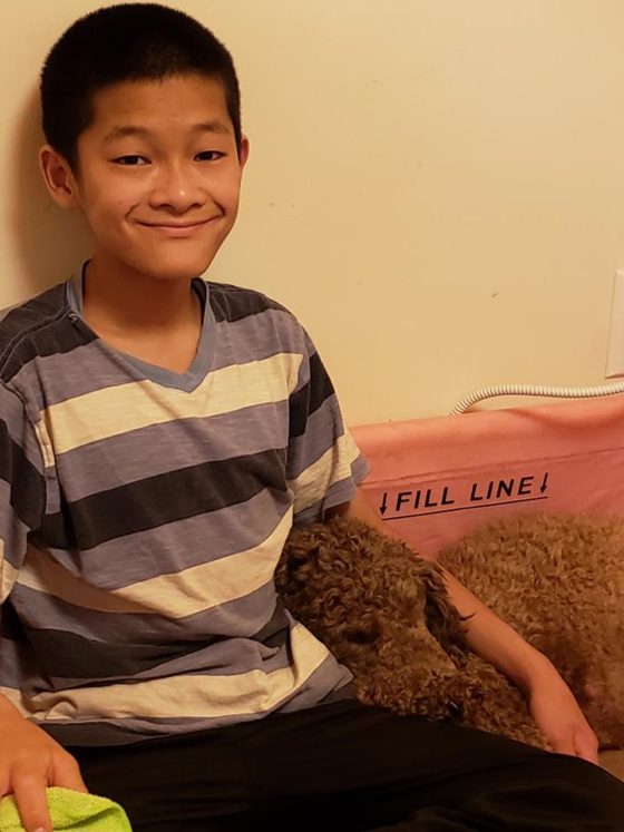 Goldendoodle Puppies | Peters' Puppies, 400+ 5 Star Reviews